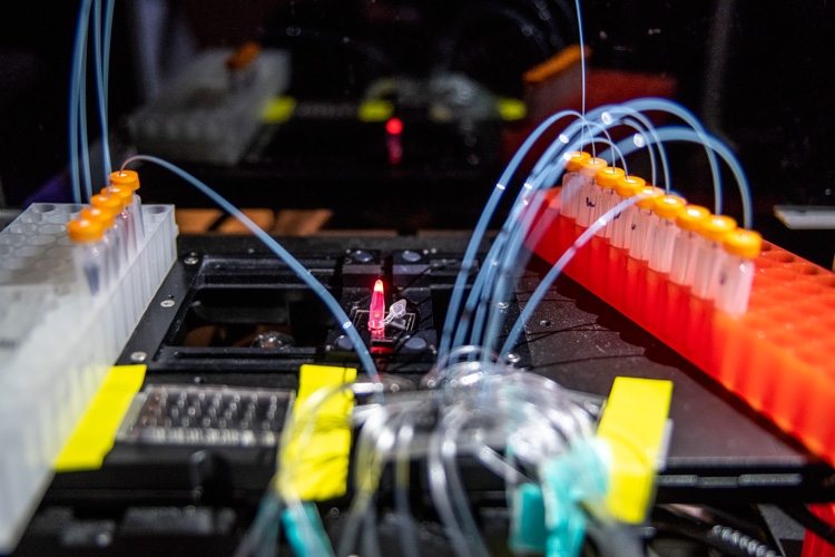 New DNA synthesis technique promises rapid, high-fidelity DNA printing ...