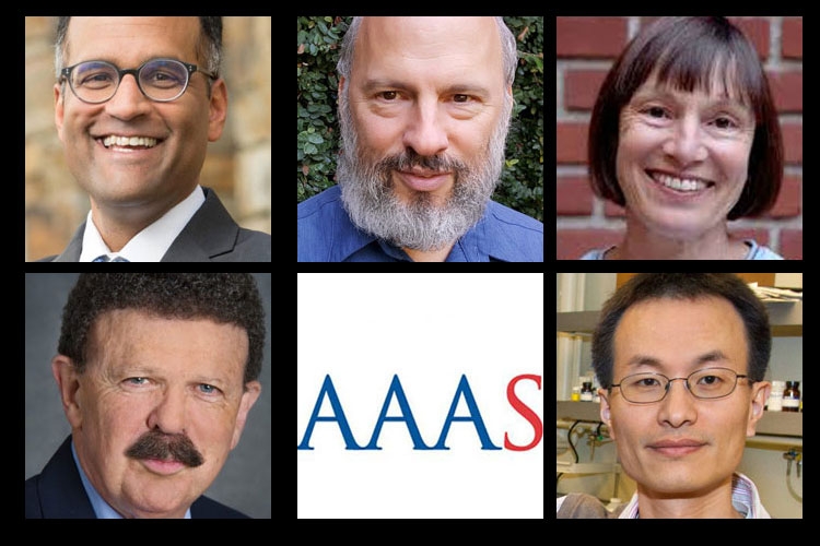 Five Berkeley top scholars named AAAS fellows | Berkeley