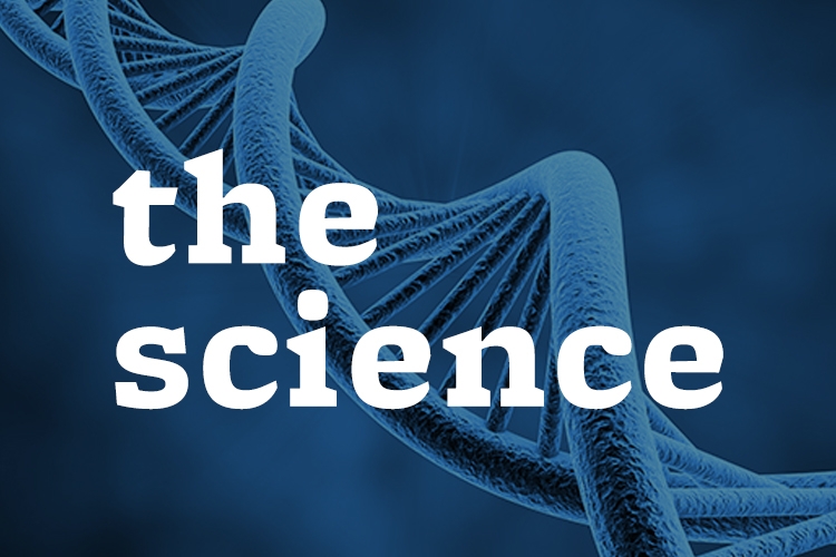 How CRISPR works | Berkeley