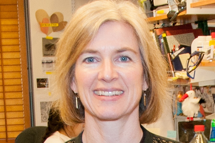 Doudna receives Women in Science Award from L'Oreal-UNESCO | Berkeley