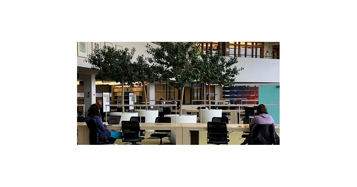 Career Honor | UNM HSC Newsroom