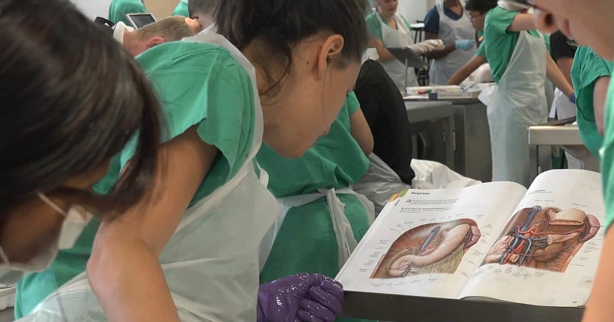 Body of Learning | UNM HSC Newsroom