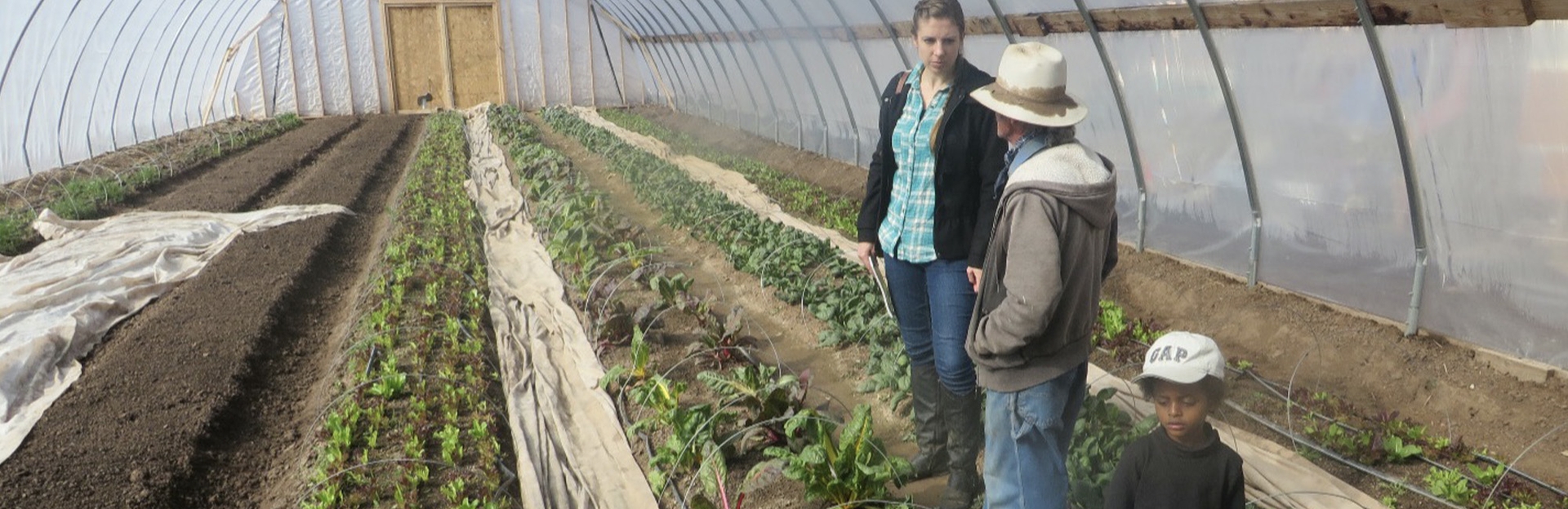 UNM Researchers Lead National Study on Organic Farmers | UNM HSC Newsroom