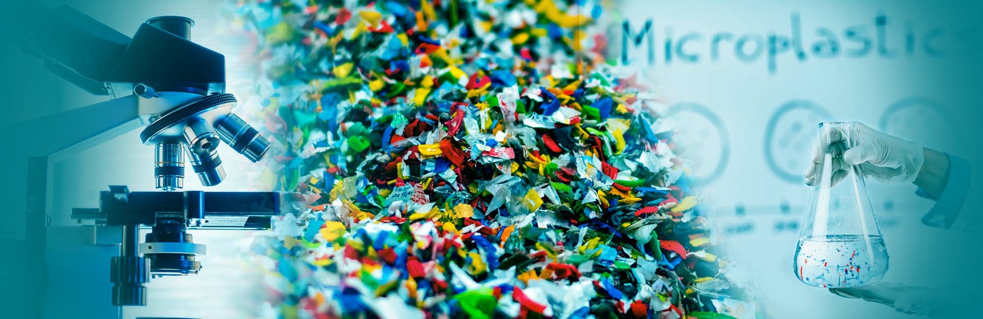 UNM Researchers Find Microplastics in Canine and Human Testicular ...