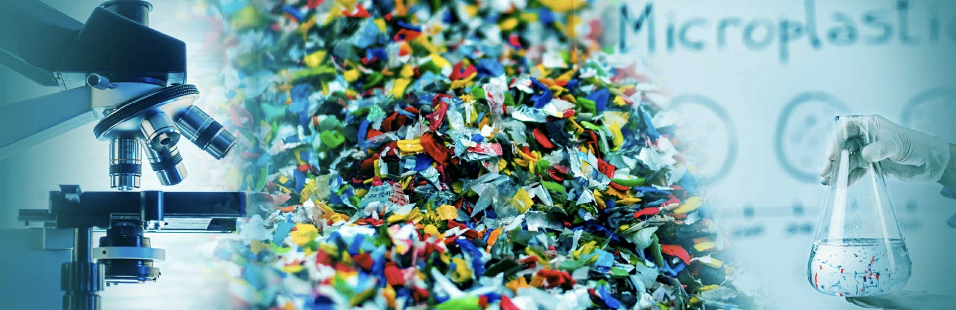 Microplastics Make Their Way from the Gut to Other Organs, UNM ...