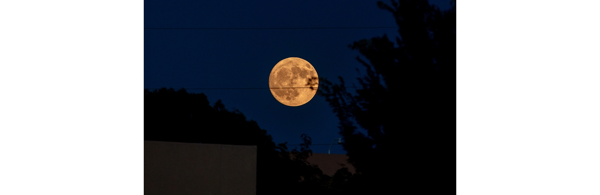 UNM Researcher Studies How Night Shift Work and Artificial Light Affect ...