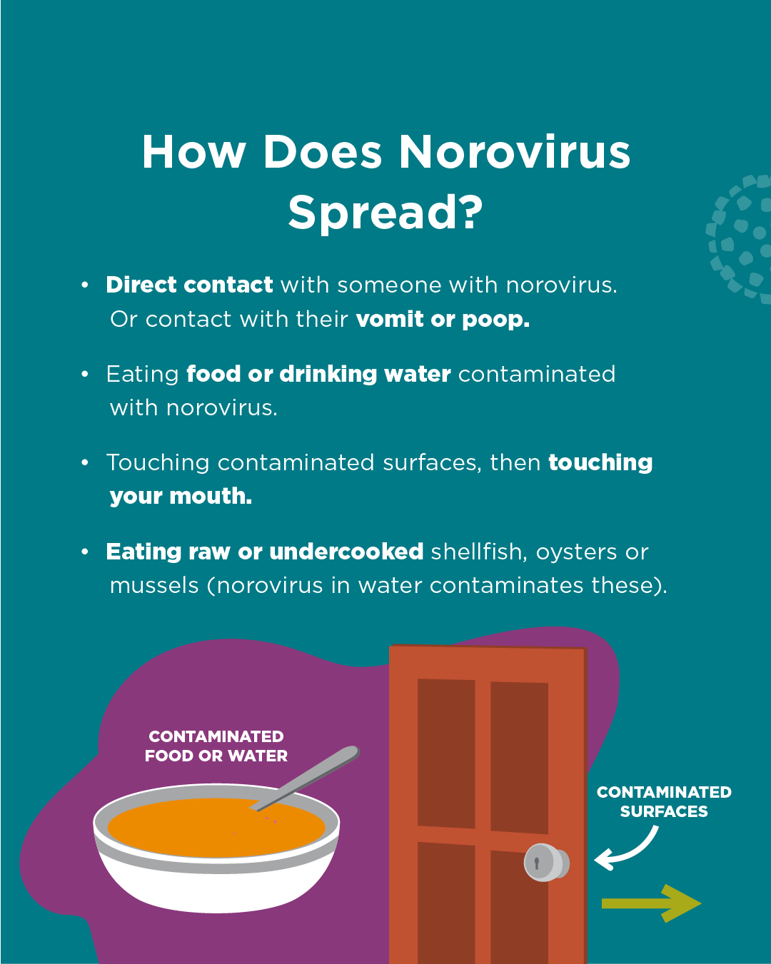 What is Norovirus? | UNM HSC Newsroom