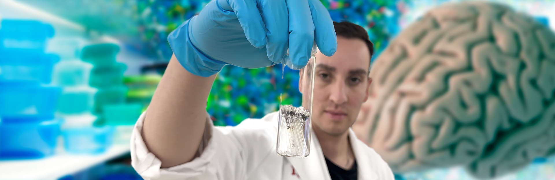 UNM Researchers Find Alarmingly High Levels of Microplastics in Human ...