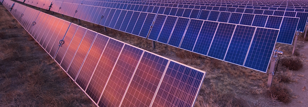 Minnesota's largest solar project moves forward | Xcel Energy Stories