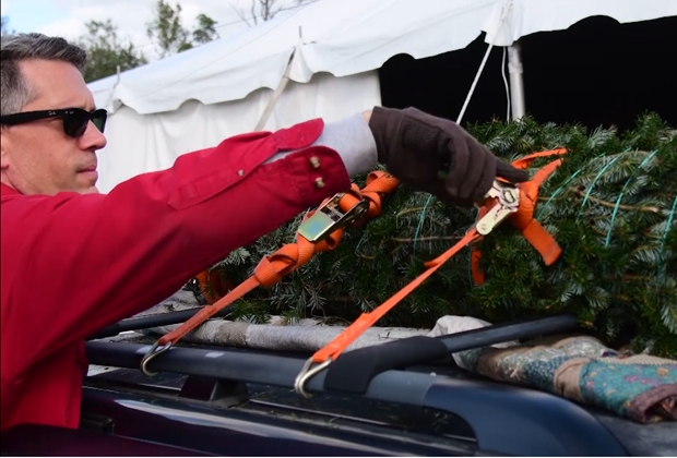 Auto Club: Drivers Face Damage, Fines From Improperly Secured Christmas ...
