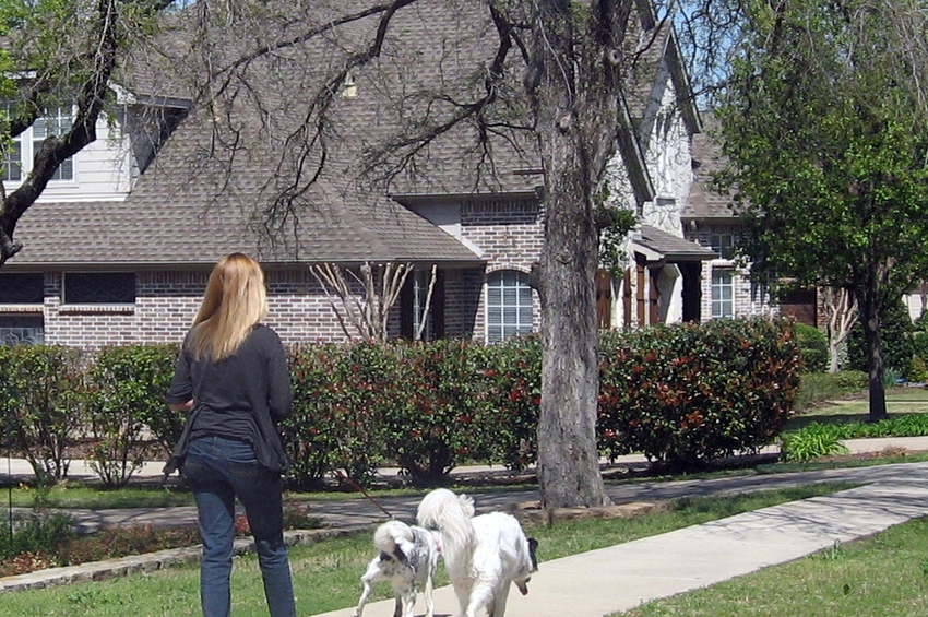 Photo | dog walker | American Heart Association