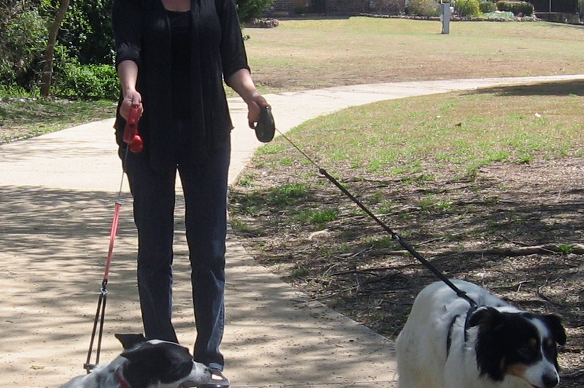 Photo | dog walking close up | American Heart Association