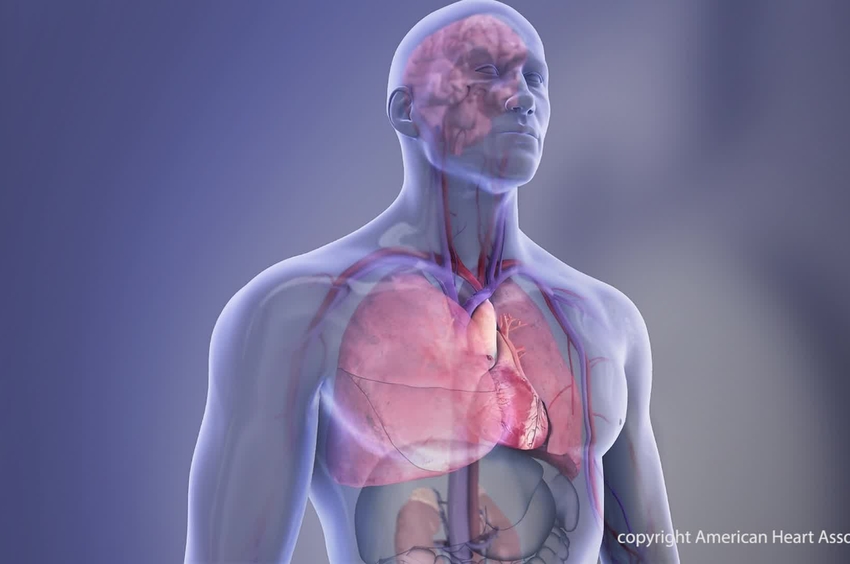 Updated Treatment Guidelines For Atrial Fibrillation Recommend A New