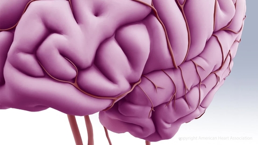 AHA / ASA Animations | American Heart Association