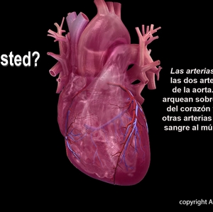 AHA/ASA Medical Graphics and Illustrations | American Heart Association