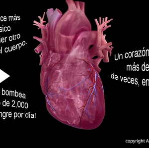 AHA/ASA Medical Graphics and Illustrations | American Heart Association