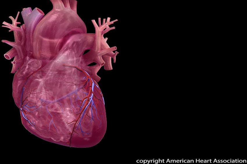 Artificial intelligence-enhanced ECGs may speed heart failure diagnosis ...