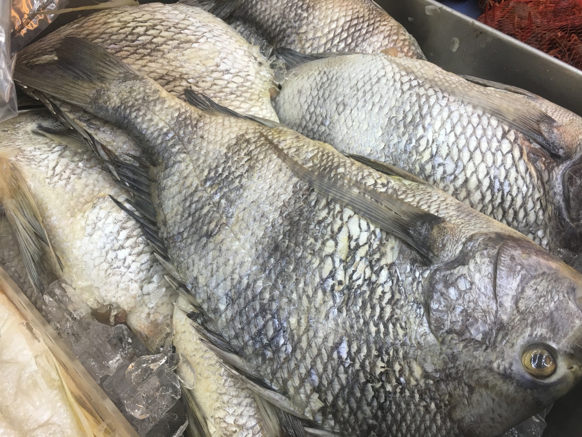 Food - Meat, Fish, Prepared Meals | American Heart Association