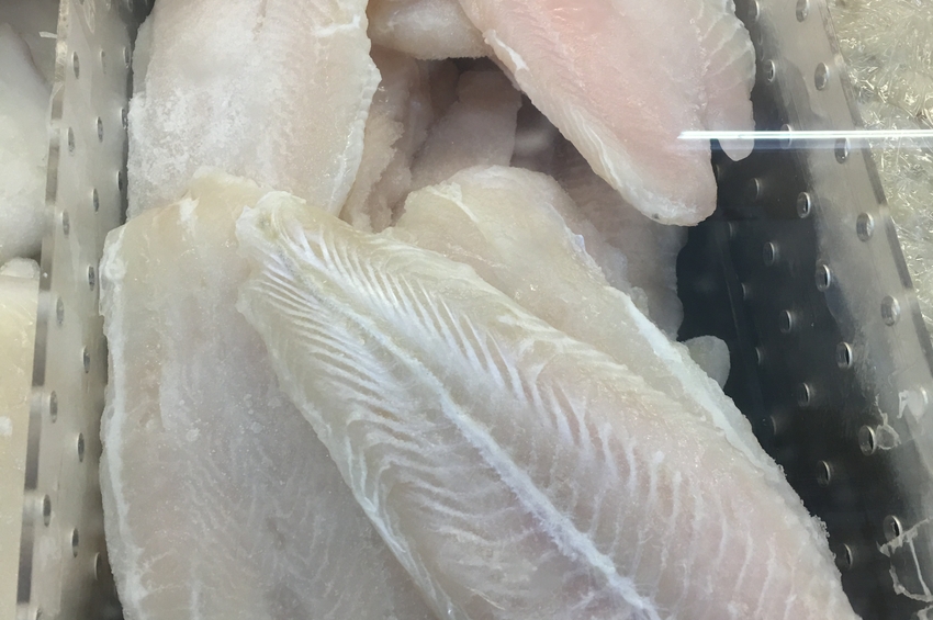 Photo | Fish in market | American Heart Association