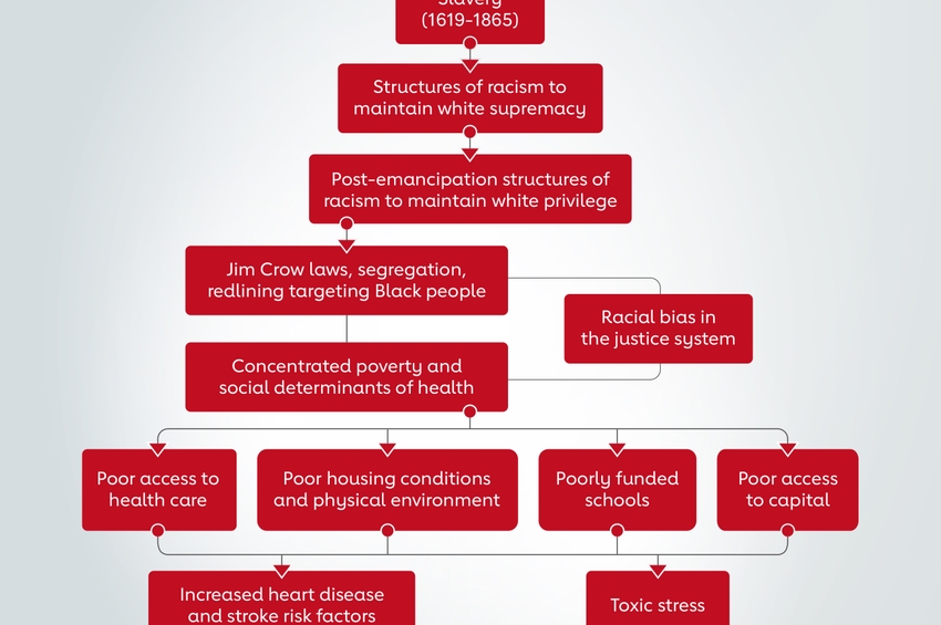 Photo | Structural Racism Flowchart | American Heart Association