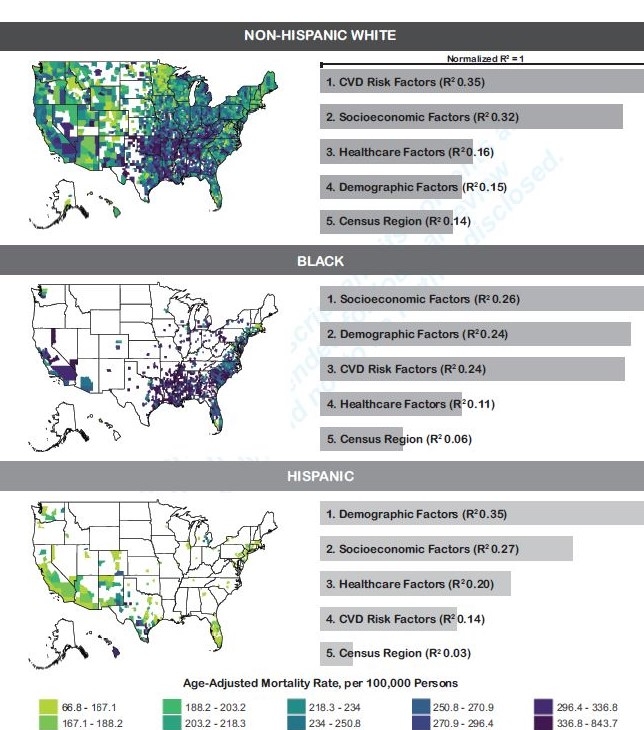 Photo | Differences Across Racial-Ethnic Groups map | American Heart ...