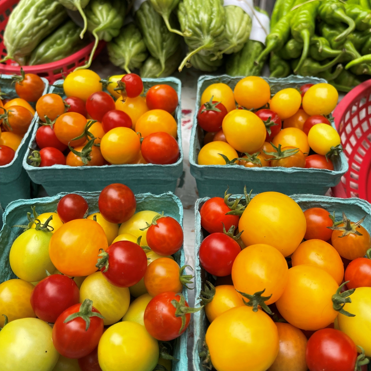 Free Weekly Produce Delivery Improved Blood Sugar, Food Security in Low ...