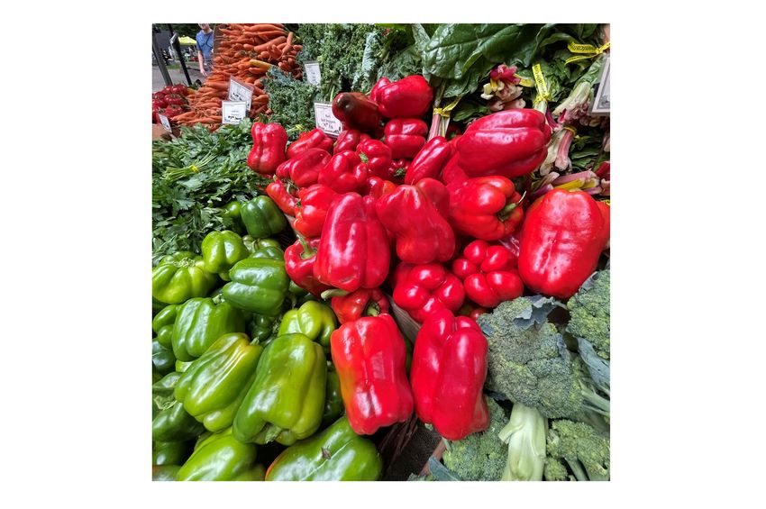 American Heart Association recognizes Sen. Joan Ballweg and Rep. Alex ...