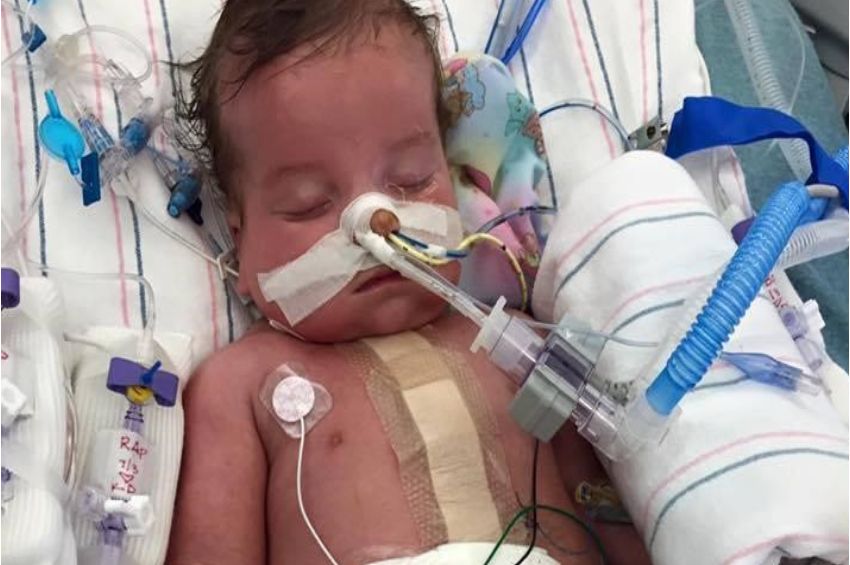 Photo | JP Tedesco 3 CHD survivor | American Heart Association