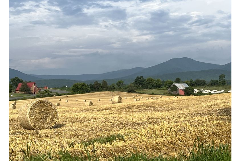 Rural Young Adults Face Rising Heart Disease Deaths | Mirage News