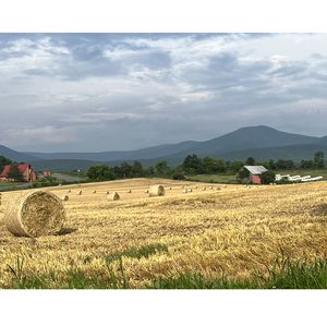 Rural America | American Heart Association