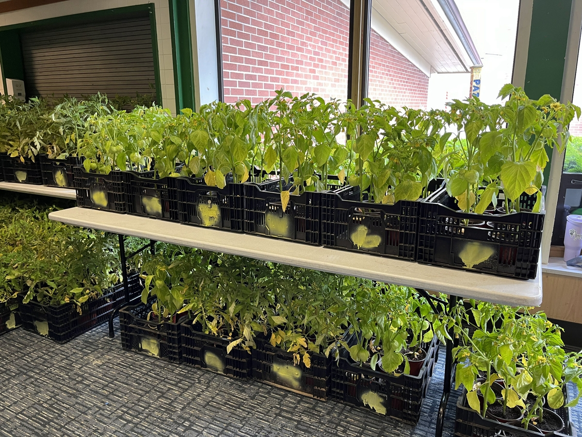 Washington food banks and pantries able to increase healthier and ...