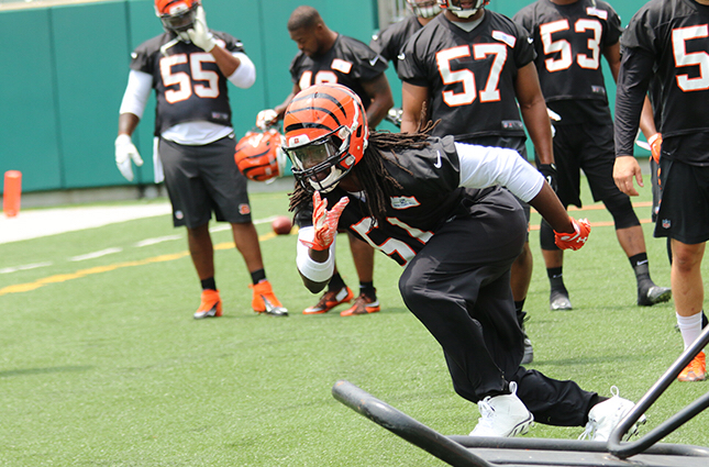 Football Coach in Dallas, TX | Jayson D. | CoachUp