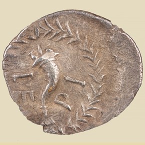Lepidus Coin Details - The Roman Empire
