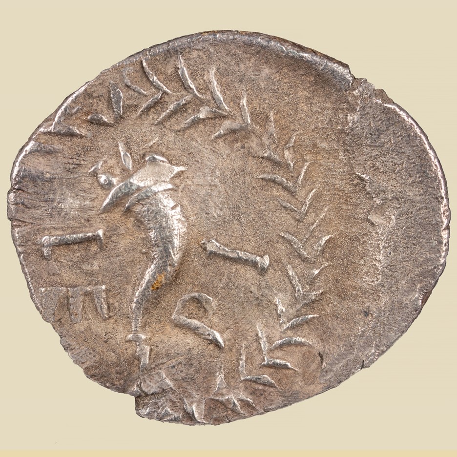 Lepidus Coin Details - The Roman Empire