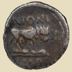 Fulvia, with Marc Antony Coin Details - The Roman Empire