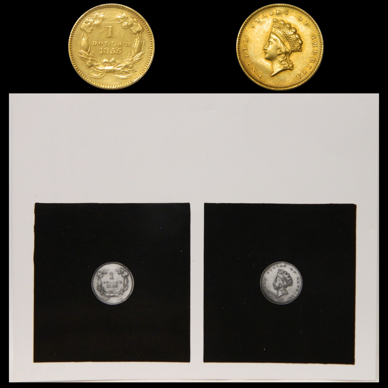 ANACS PHOTO CERT Type 1 Coin Details - 1 of Each Slab NGC PCGS ANACS w ...