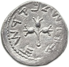 Coin Details - Jewish History in Coins