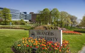Brandeis University | GI Bill or Yellow Ribbon