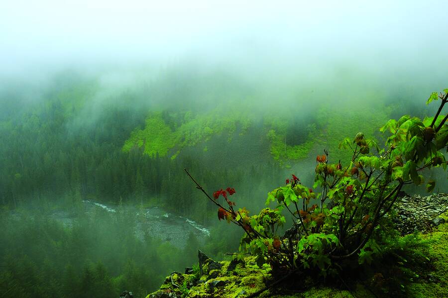 Cool Air by Intae Kim | Black & White Magazine | For Collectors of Fine ...