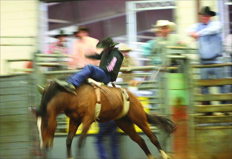 Bronc Rider by Allan Goodman | Black & White Magazine | For Collectors ...
