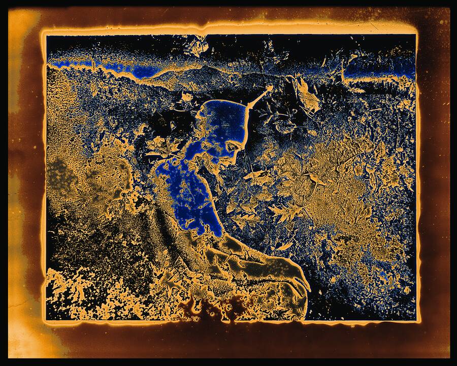 The Wood Nymph by Curtis Salonick | Black & White Magazine | For ...