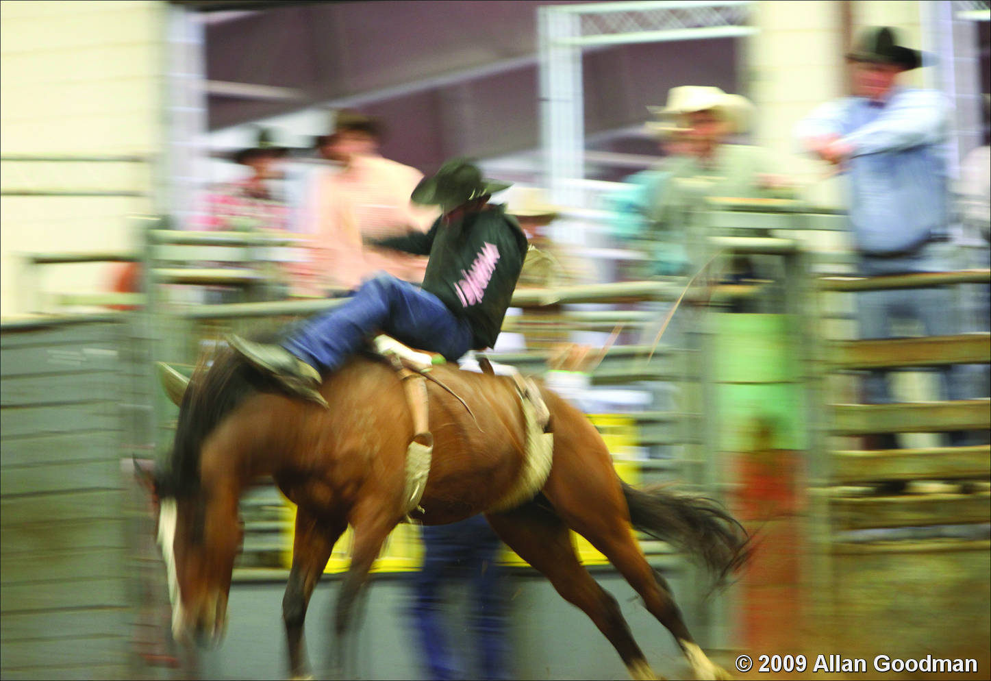 Bronc Rider by Allan Goodman | Black & White Magazine | For Collectors ...