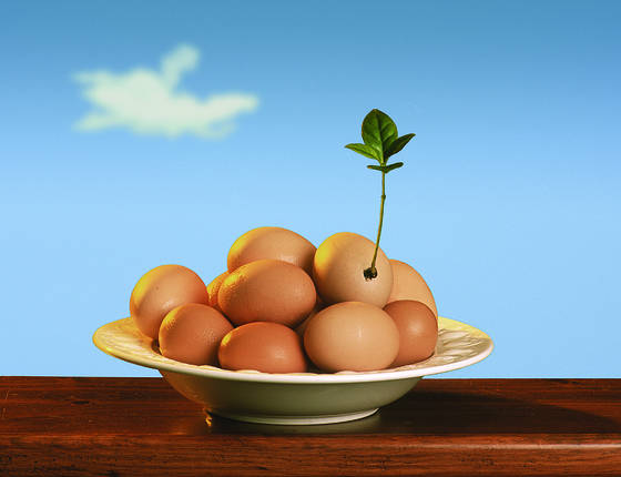 Eggs 4 Brekky by Mark Greenland | Black & White Magazine | For ...