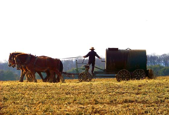 Amish Work Ethic by Alan Wood | Black & White Magazine | For Collectors ...
