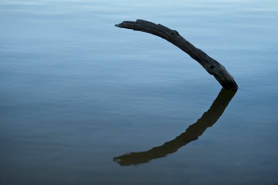 Stick in Water by Robert Biondo | Black & White Magazine | For ...