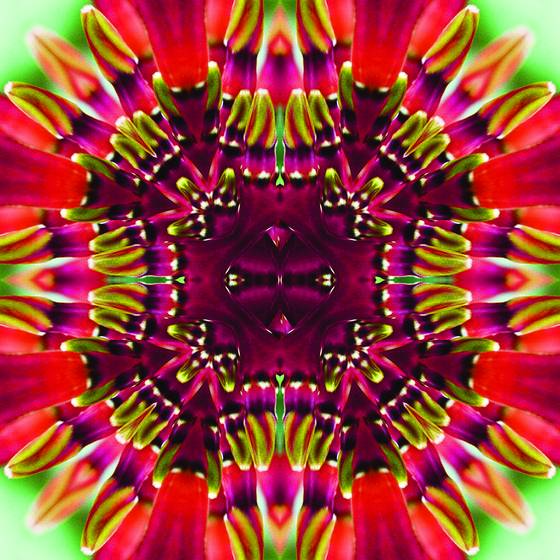 Alien Cherokee by Michael Murphree & Rodrigo Pedrolli | Black & White ...