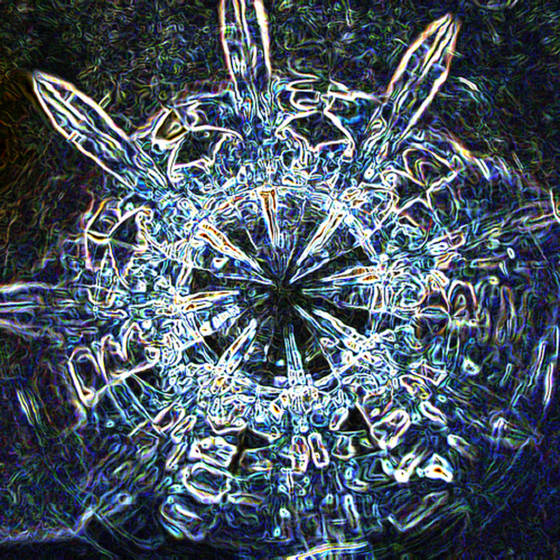 Electric Glass by Tara P. Zehnder | Black & White Magazine | For ...