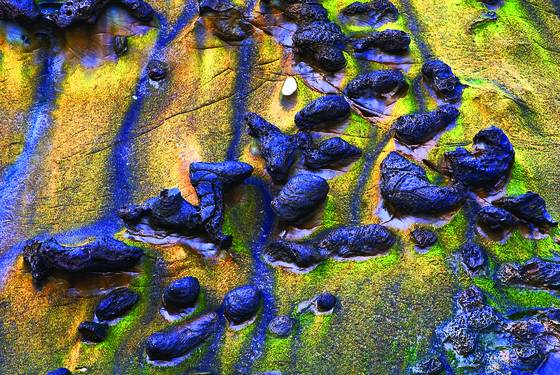 Blueberry Rocks by Michael L. Wilson | Black & White Magazine | For ...