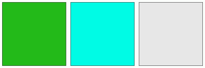 ColorCombo7810 with Hex Colors #23BA19 #00FBE5 #E7E7E7