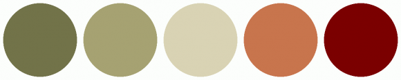 ColorCombo10532 with Hex Colors #727349 #A6A272 #D9D3B4 #C8754D #7B0000